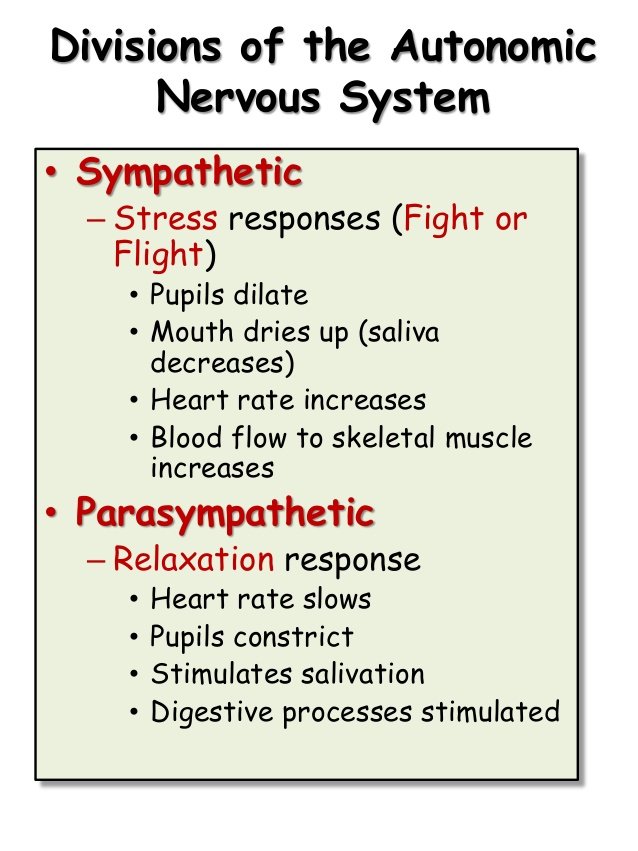 Top 7 Essential Oils for Anxious Feelings and Stress | The Oil Family